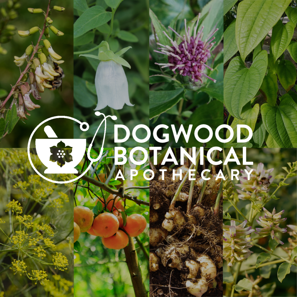 Digestion Formula | Dogwood Botanical Apothecary