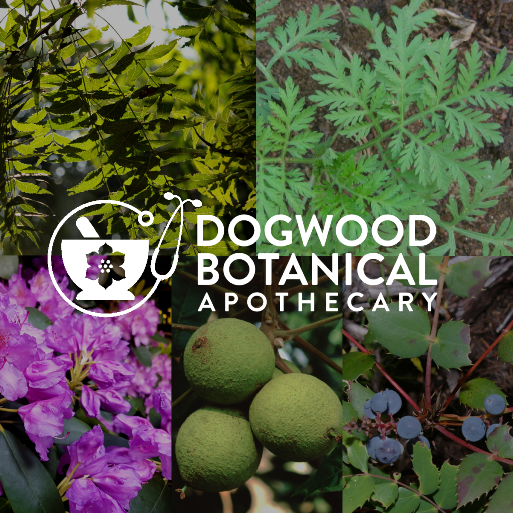 Parasite Formula | Dogwood Botanical Apothecary