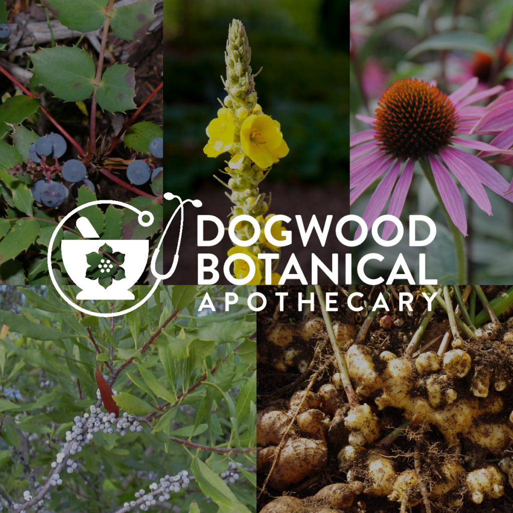Sinus Formula | Dogwood Botanical Apothecary